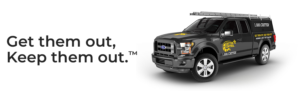 Critter Control History